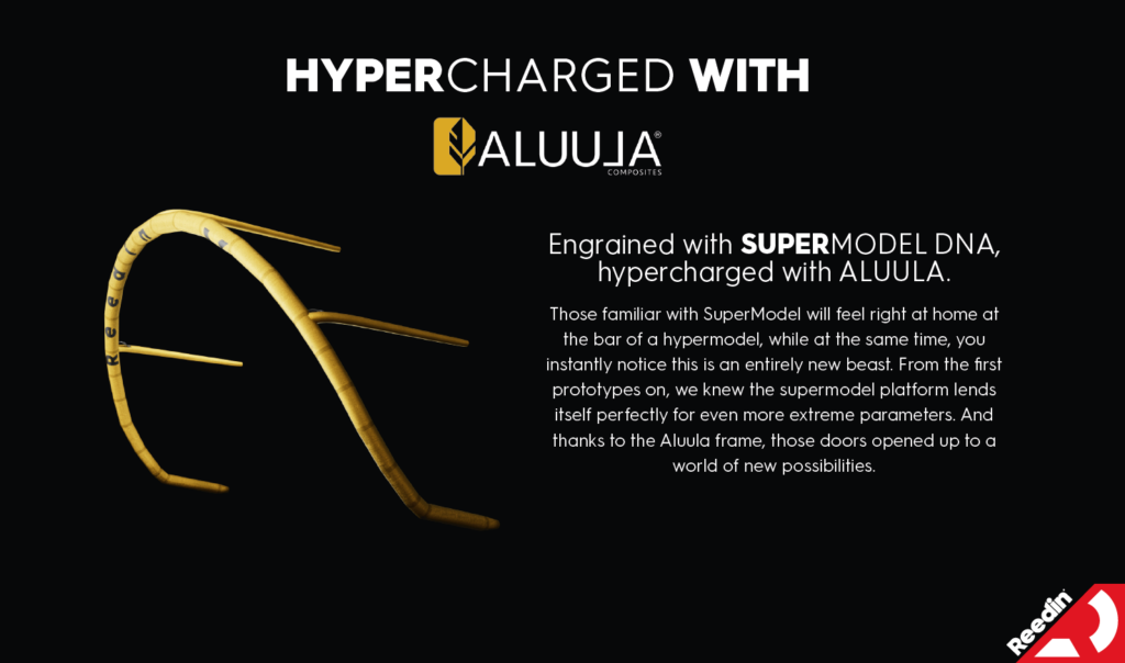 REEDIN HyperModel 2024 - Reedin Baltics