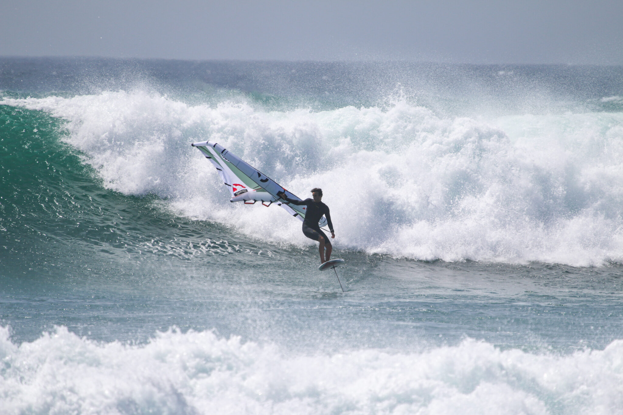 REEDIN HYPERNATURAL 2024 - Reedin Baltics